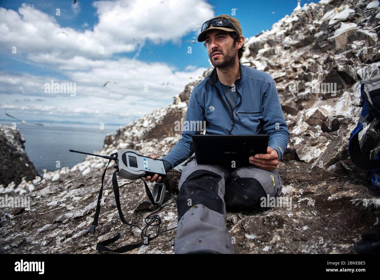 Animal tracking gps hi-res stock photography and images - Alamy