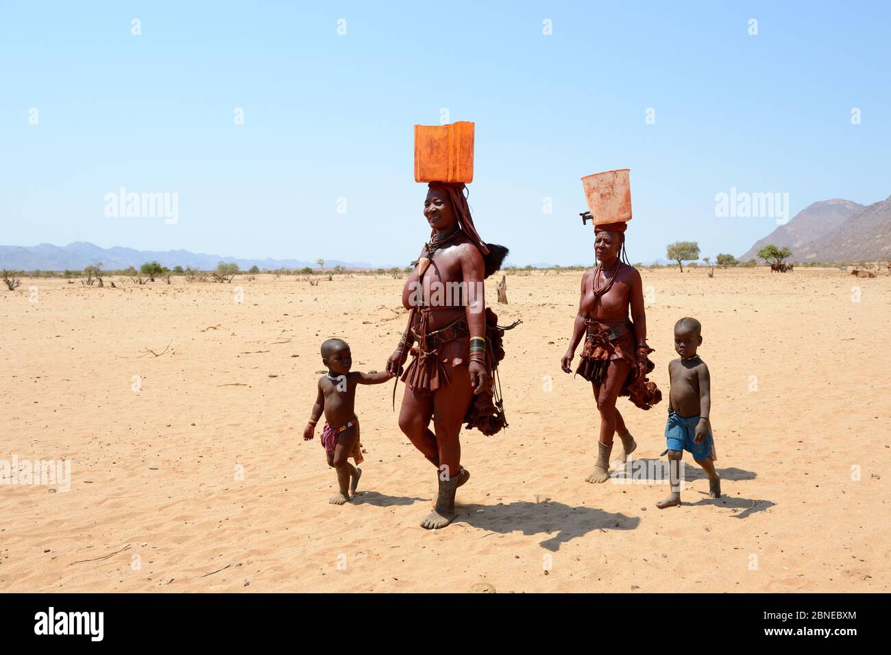 Himba women and children returning from the waterpoint, carrying ...