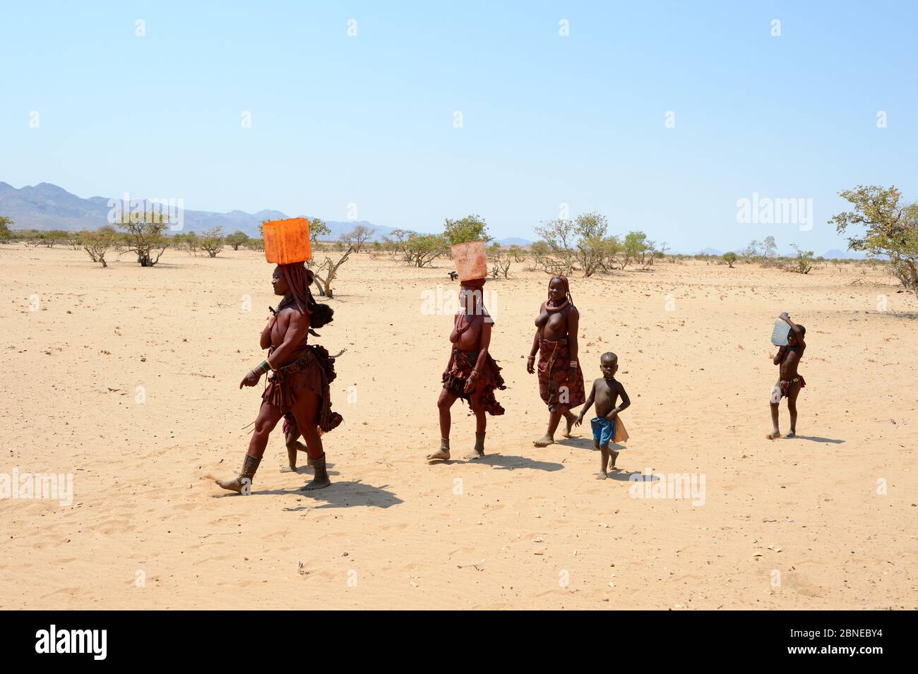 Himba women and children returning from the waterpoint, carrying ...