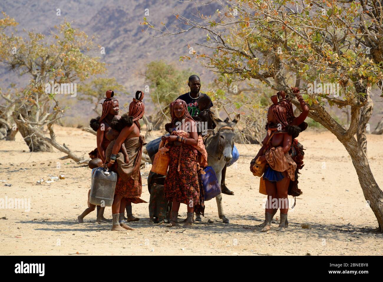 Himba women and man riding on a donkey going to collect water at the ...