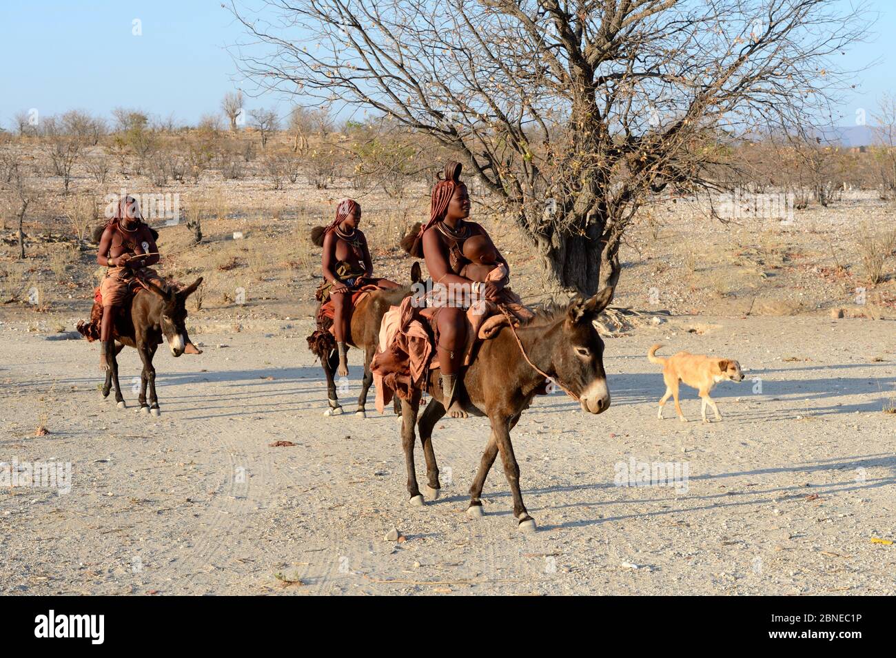 Himba women and child riding on donkeys to the nearby Etanga Village ...