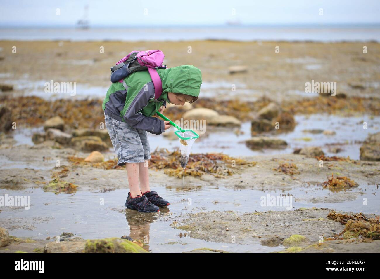 Rock pooling hi-res stock photography and images - Alamy