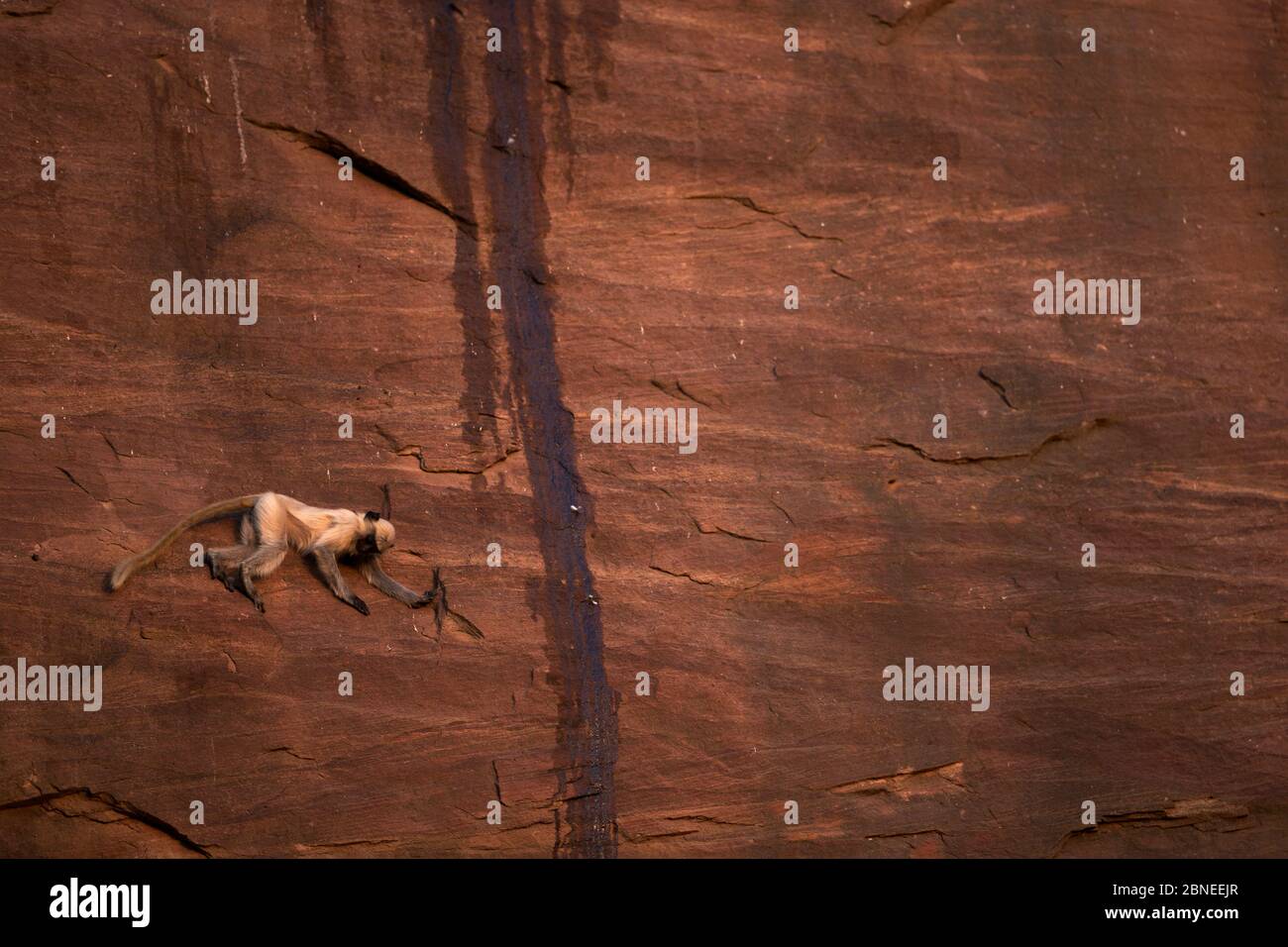 Sheer cliff face hi-res stock photography and images - Alamy