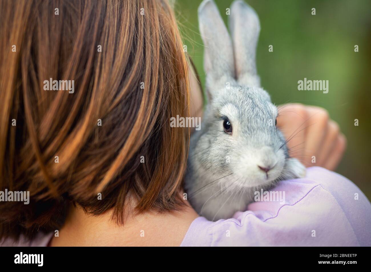 Cute adorable sweet little rabbit sitting on shoulder of young adult ...