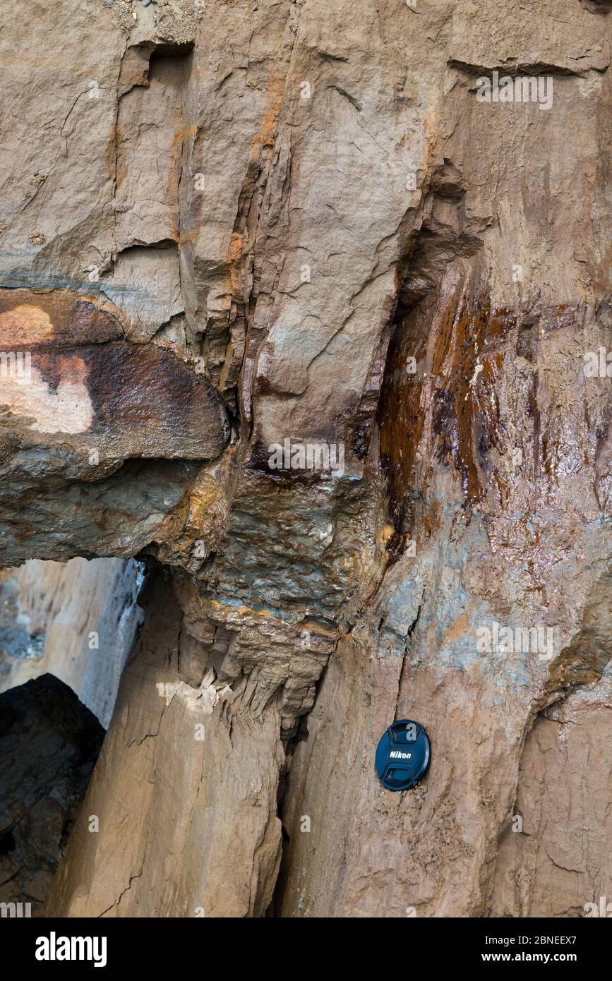 A seep of hydrocarbons (Oil) from Jurassic, Bencliff Grit near ...