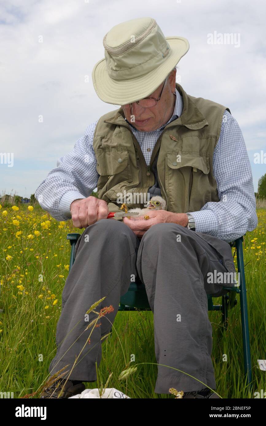 Colin morris hi-res stock photography and images - Alamy