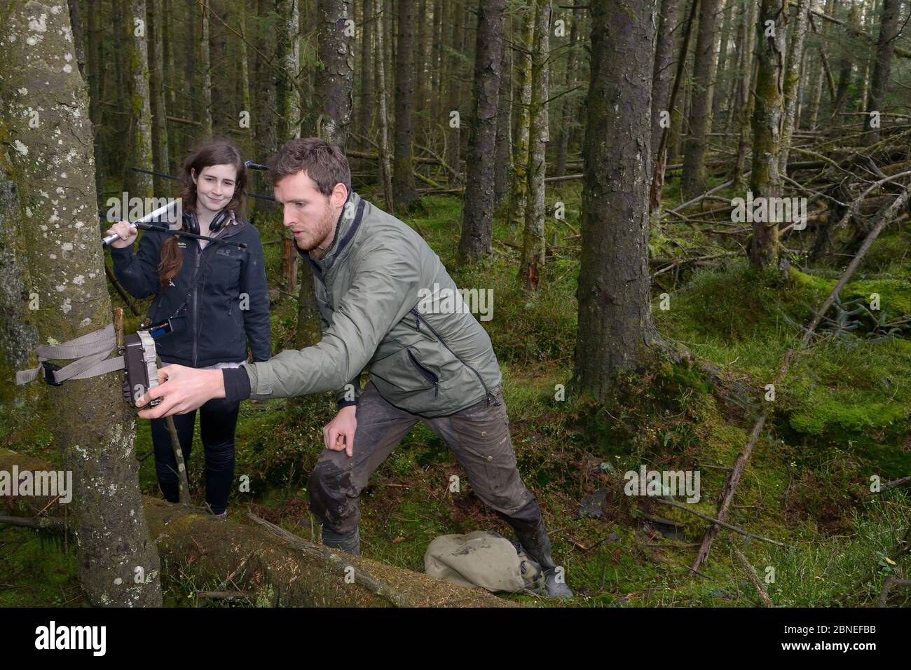 Reintro hi-res stock photography and images - Alamy