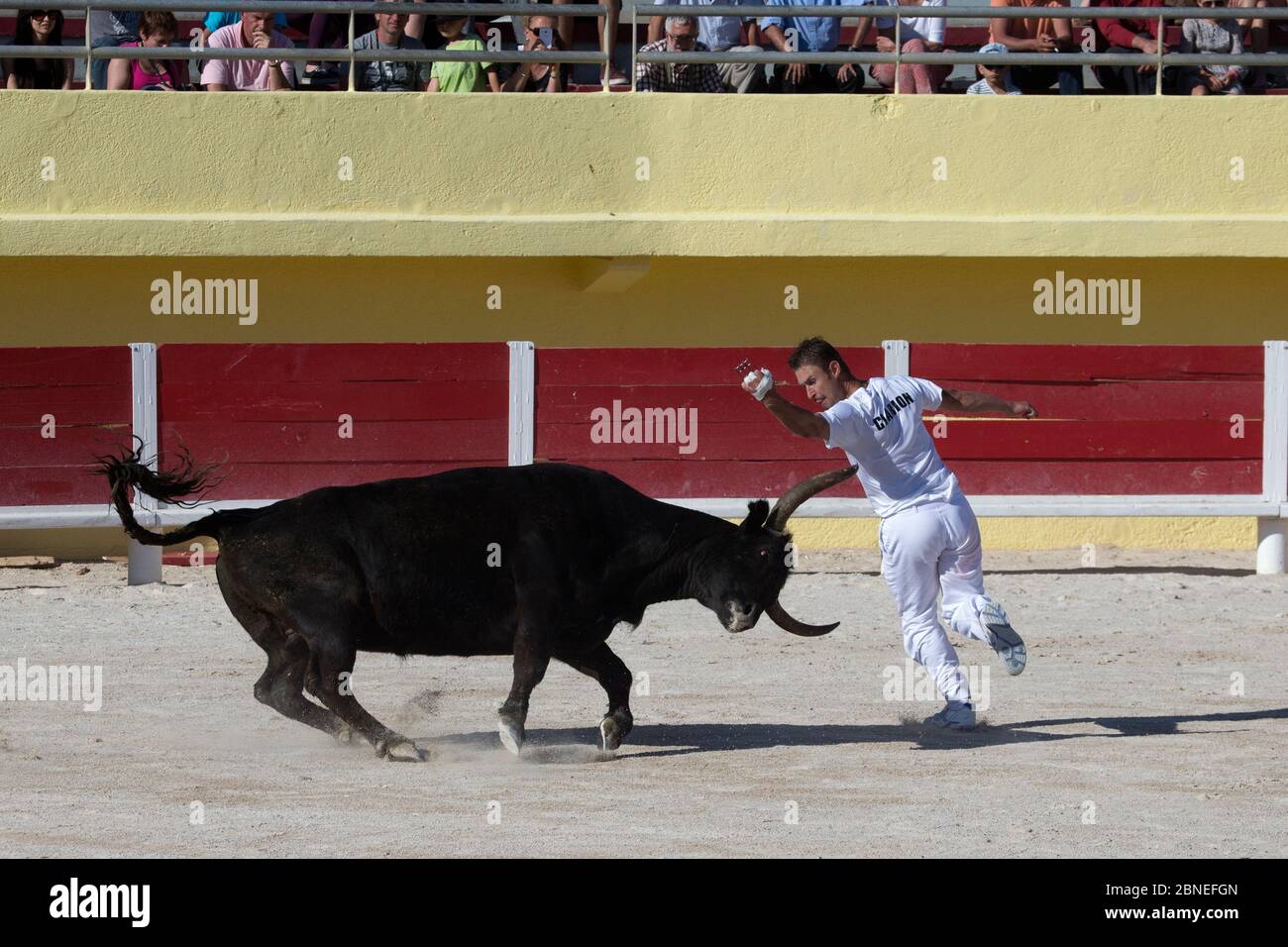 Traditional camargue bull fight hi-res stock photography and images - Alamy