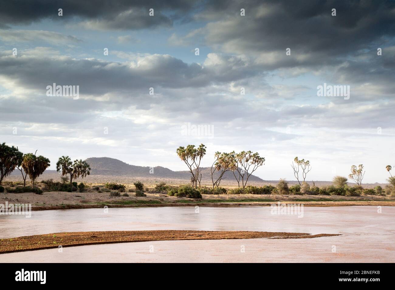 Ewaso Ngiro River landscape, Samburu Game Reserve, Kenya, Africa ...