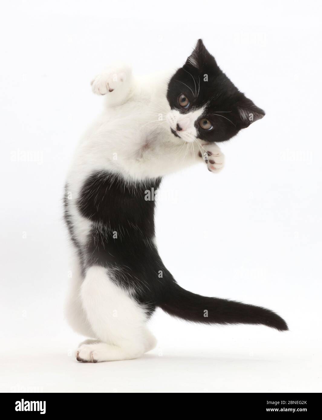 Baby turning hi-res stock photography and images - Alamy