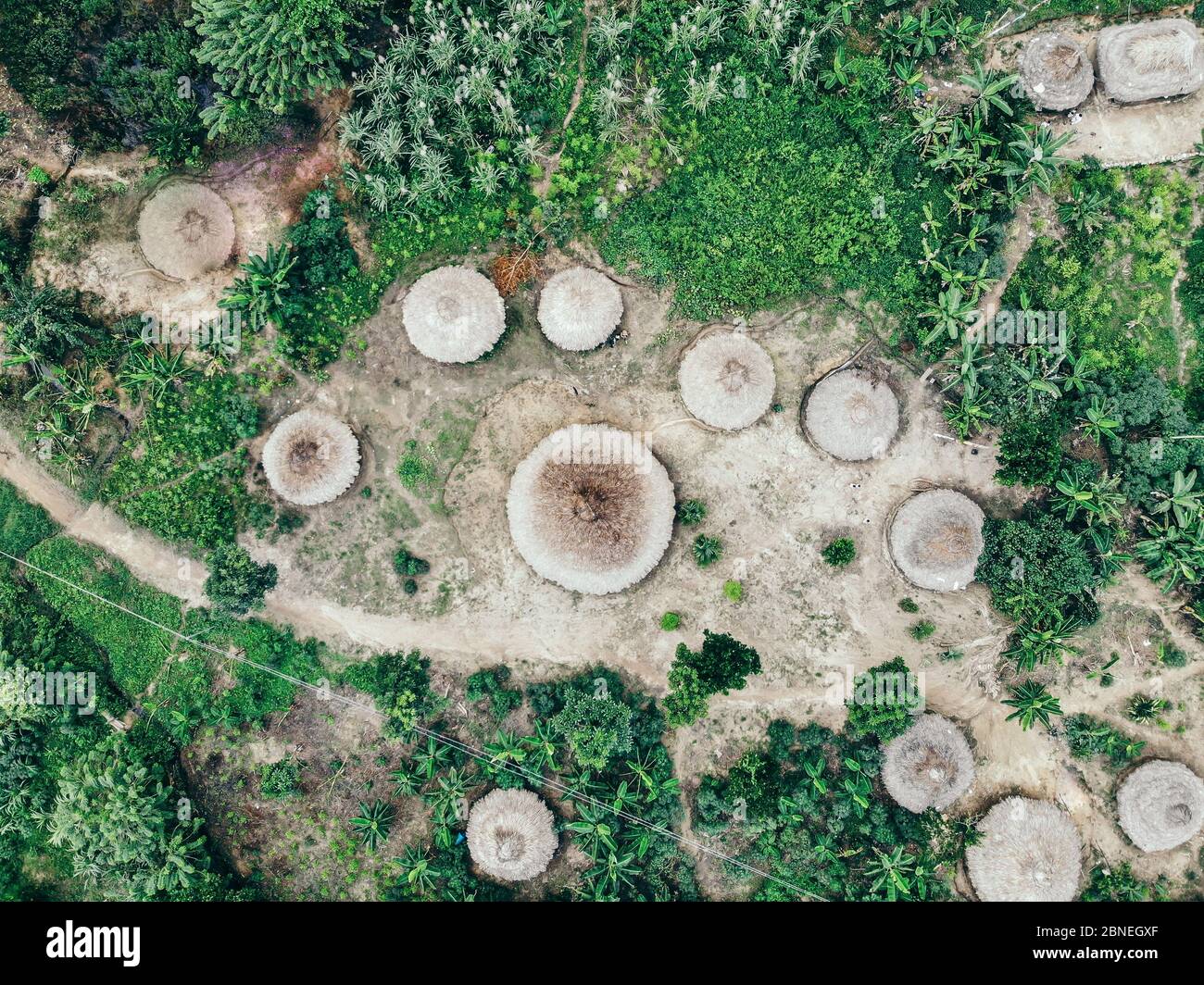 Aerial shot of Neolithic houses surrounded with palms and other ...