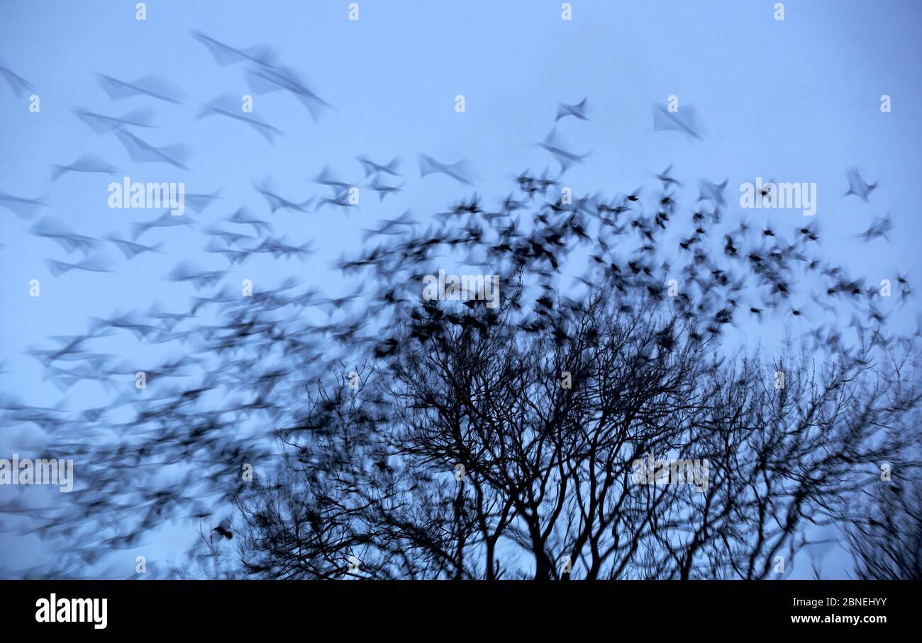 Falkoping hi-res stock photography and images - Alamy