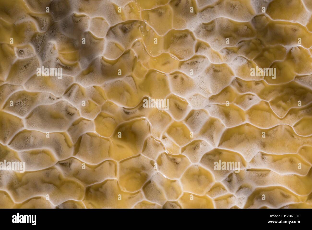 Detail of a flowstone in a limestone cave showing calcite deposits ...