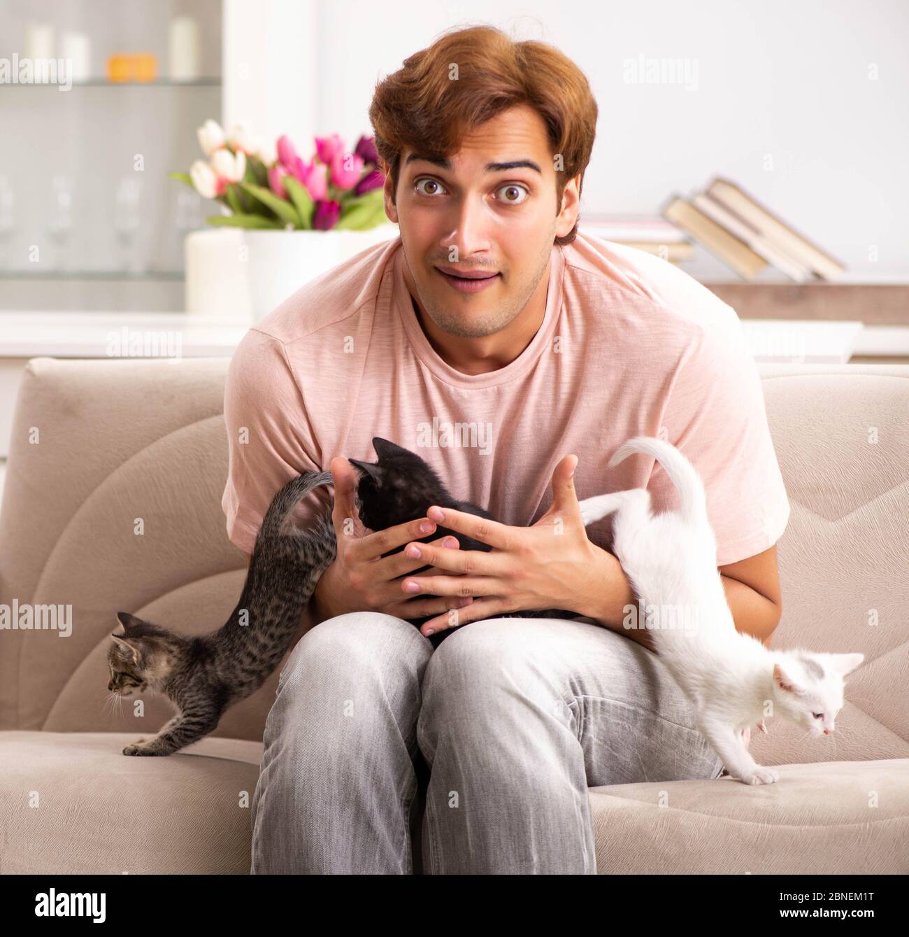 Man holding cats paw hi-res stock photography and images - Alamy