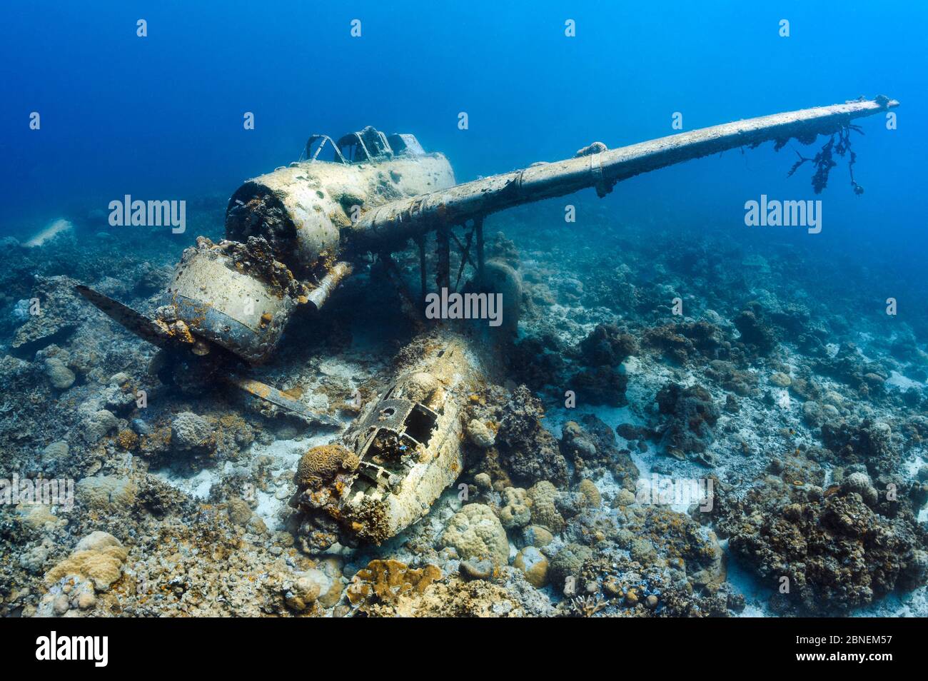 The wreck of a Japanese Second World War Aichi E13A-1 'Jake' seaplane ...