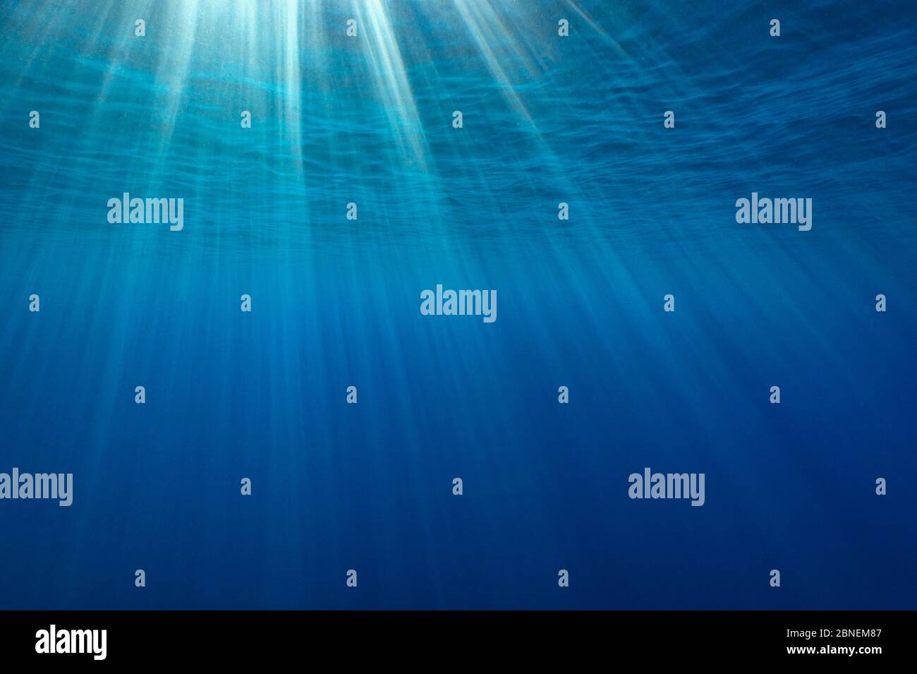 Sunbeams below the surface of the sea, Guadalupe Island, Baja ...