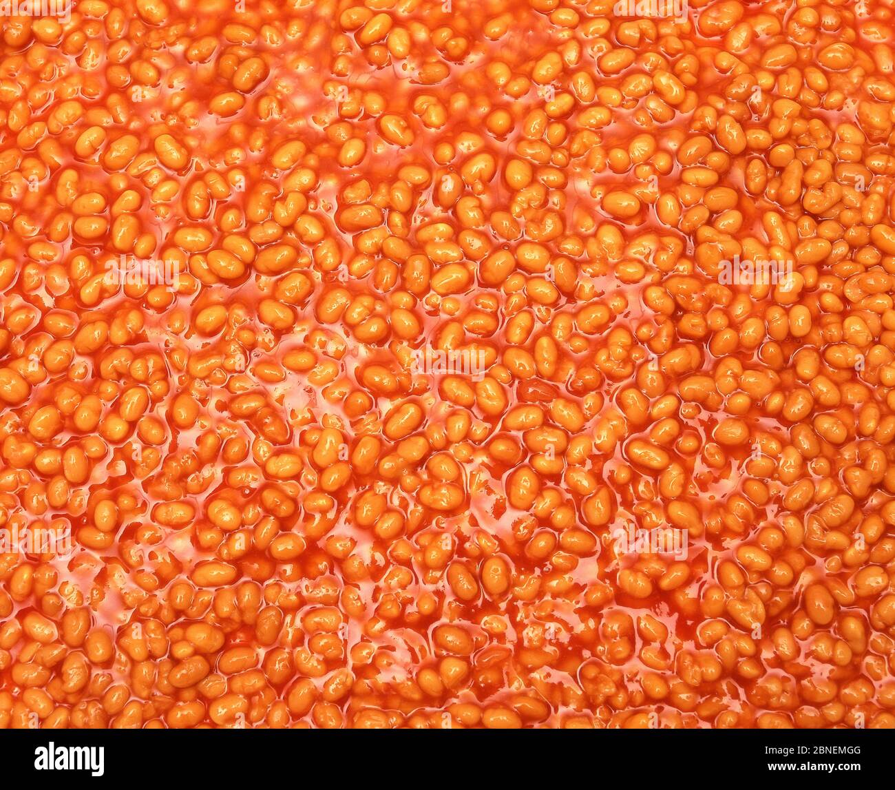 English bean hi-res stock photography and images - Alamy
