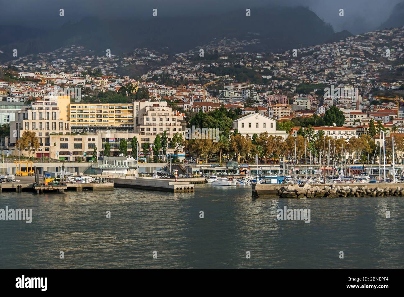 Avenida mar funchal madeira hi-res stock photography and images - Alamy