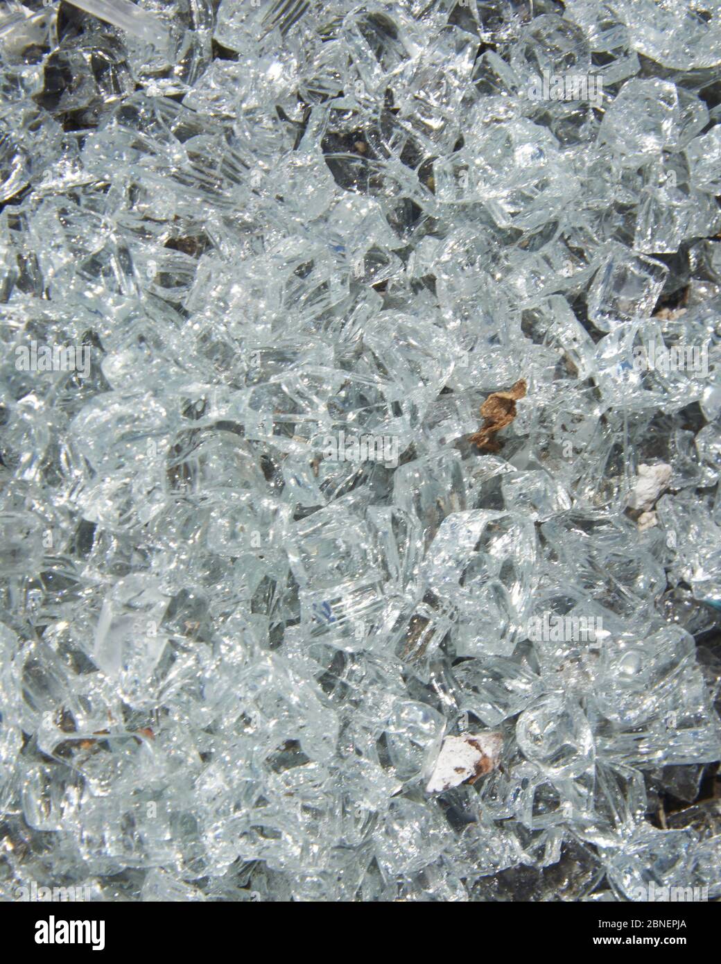 Vertical closeup of shiny crystals on the ground under the lights ...