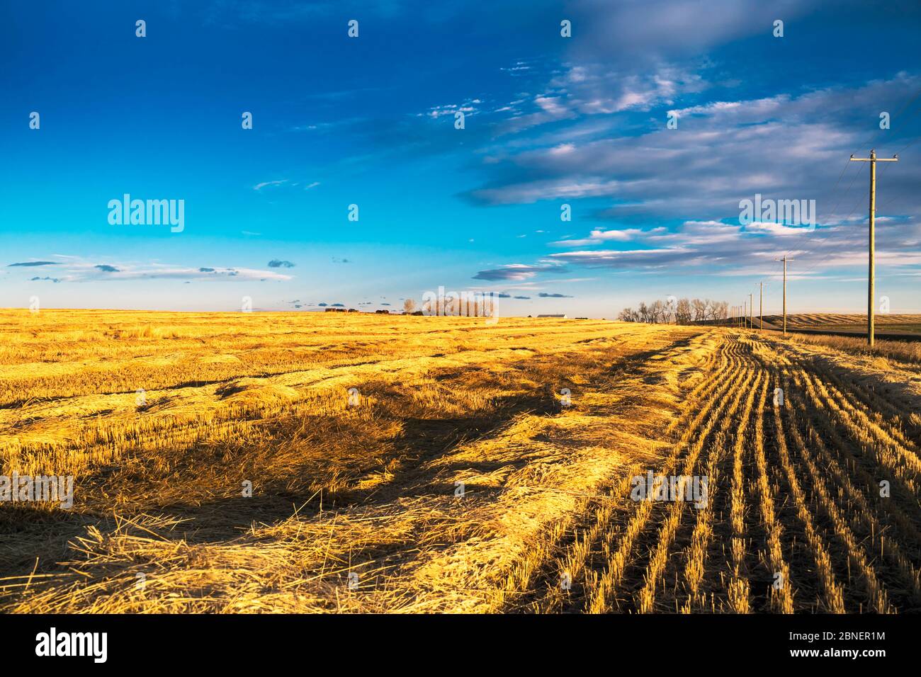 Agriculture weather prairies hi-res stock photography and images - Alamy