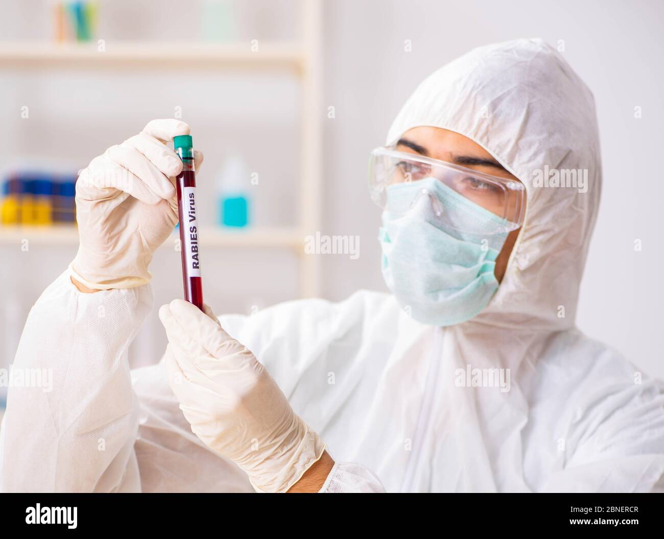 The young handsome lab assistant testing blood samples in hospital ...