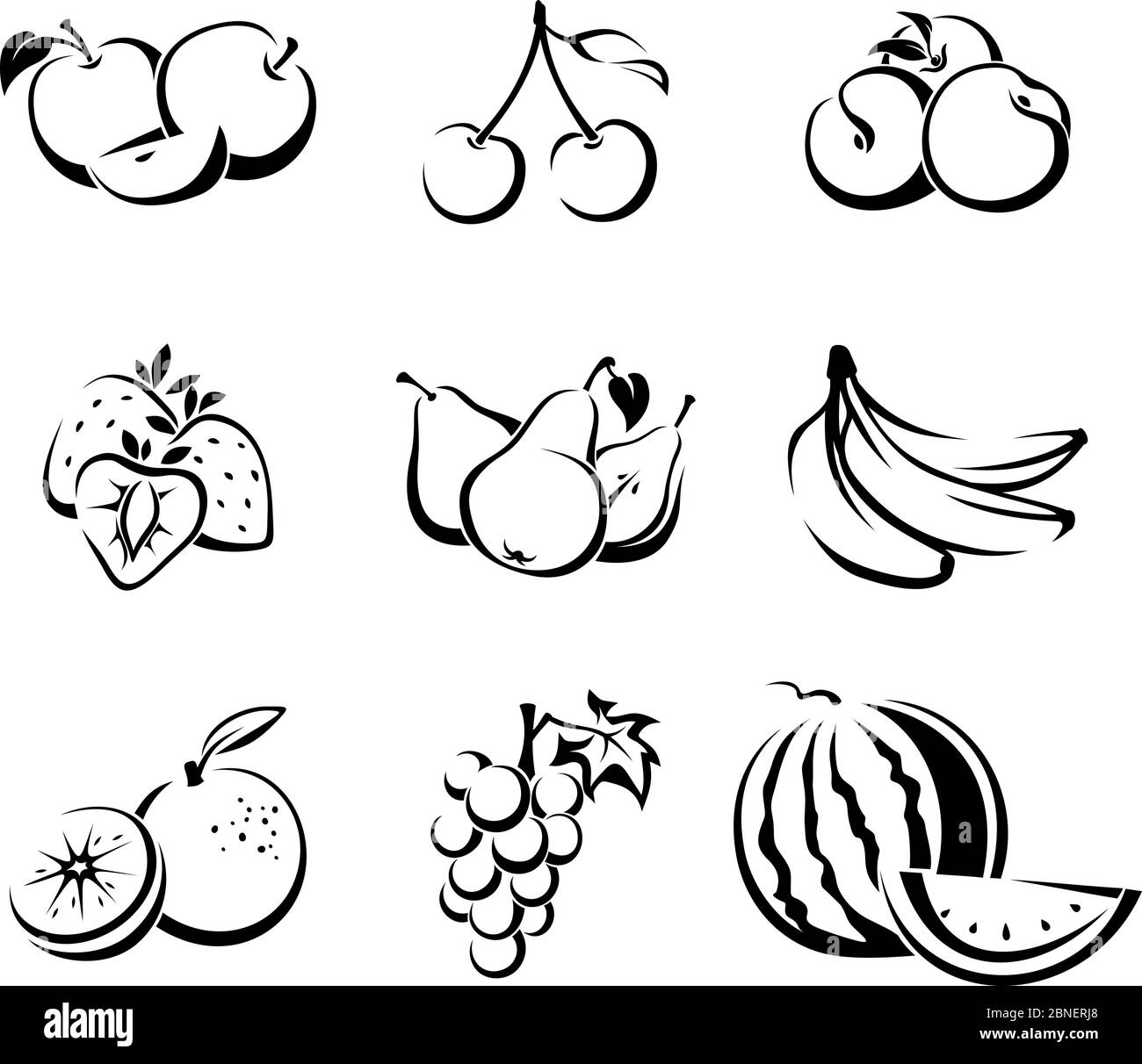 Set of various fruit and berries. Vector black contour drawing isolated ...
