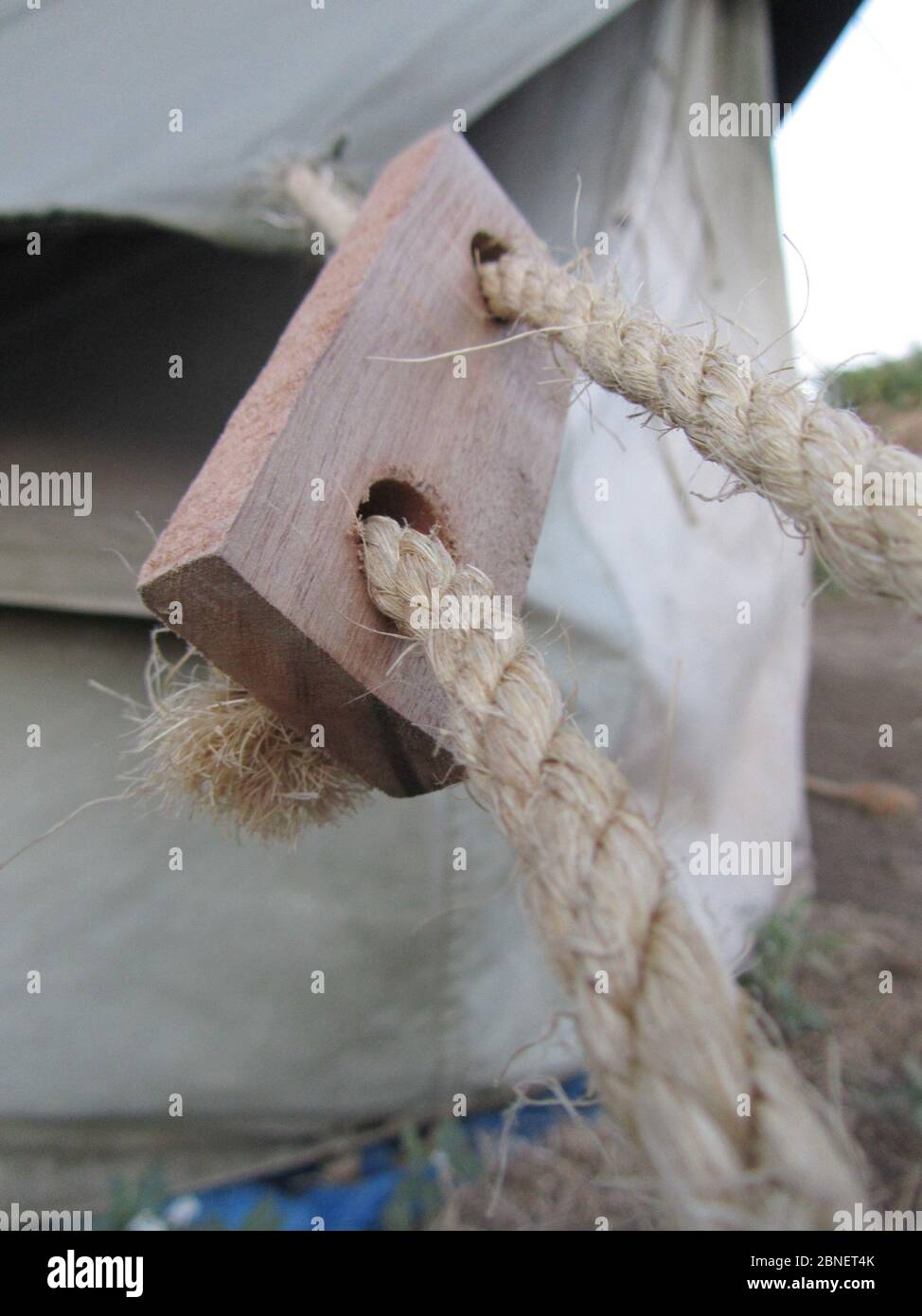 Closeup of a hemp rope tightening the side of a ridge tent and flysheet ...