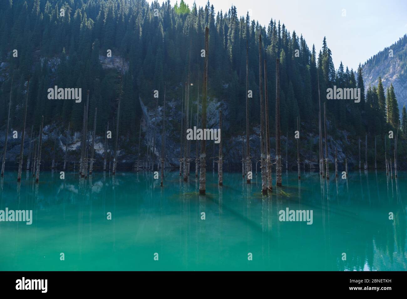 Kaindy lake - mountain lake in Kazakhstan Stock Photo - Alamy
