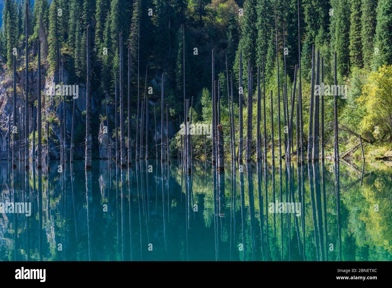 Kaindy lake - mountain lake in Kazakhstan Stock Photo - Alamy