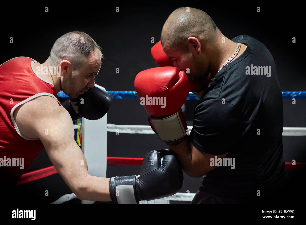 Male Boxers In Ring High Resolution Stock Photography and Images - Alamy