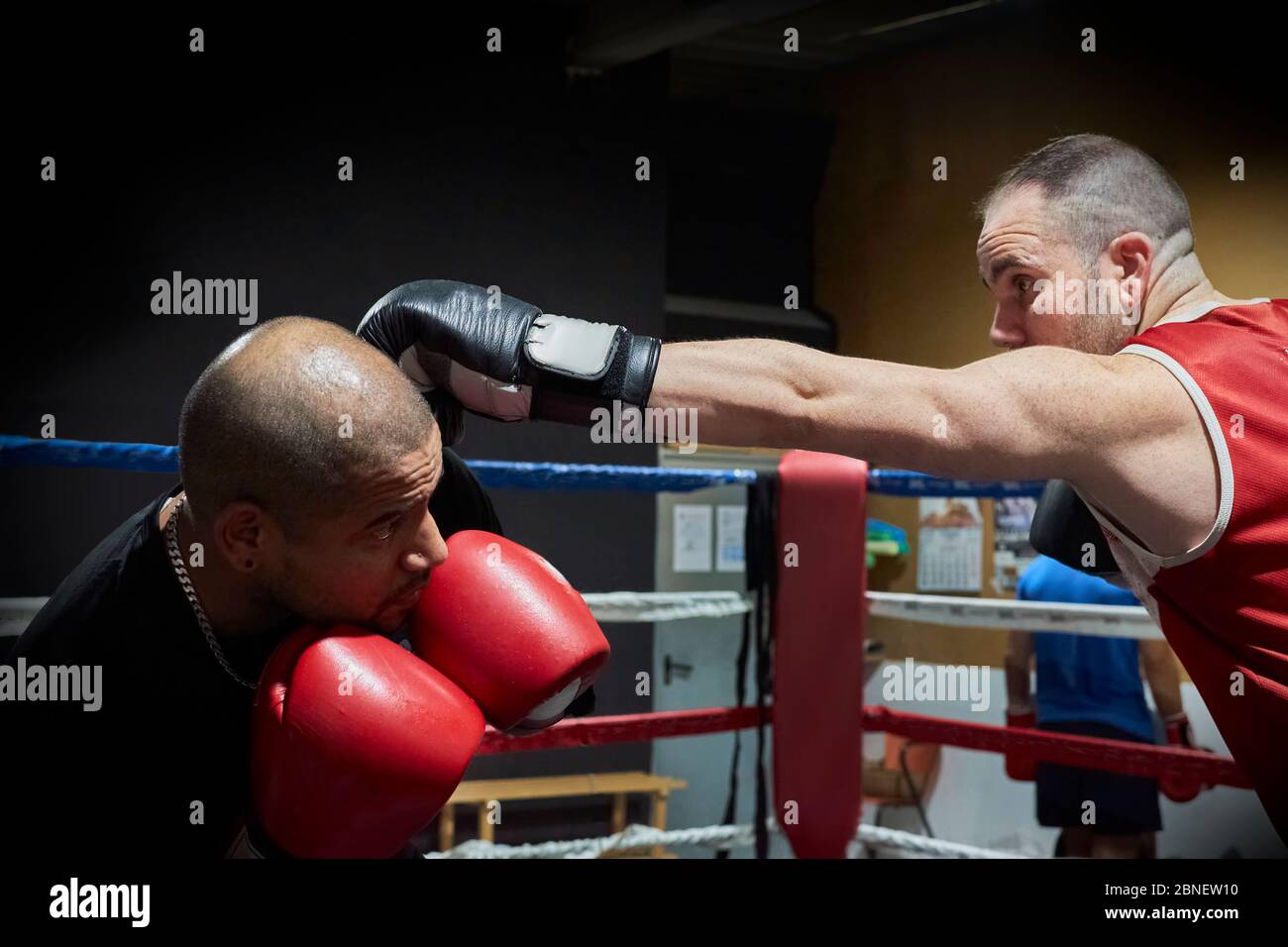 Two determined caucasian male athletes hi-res stock photography and ...