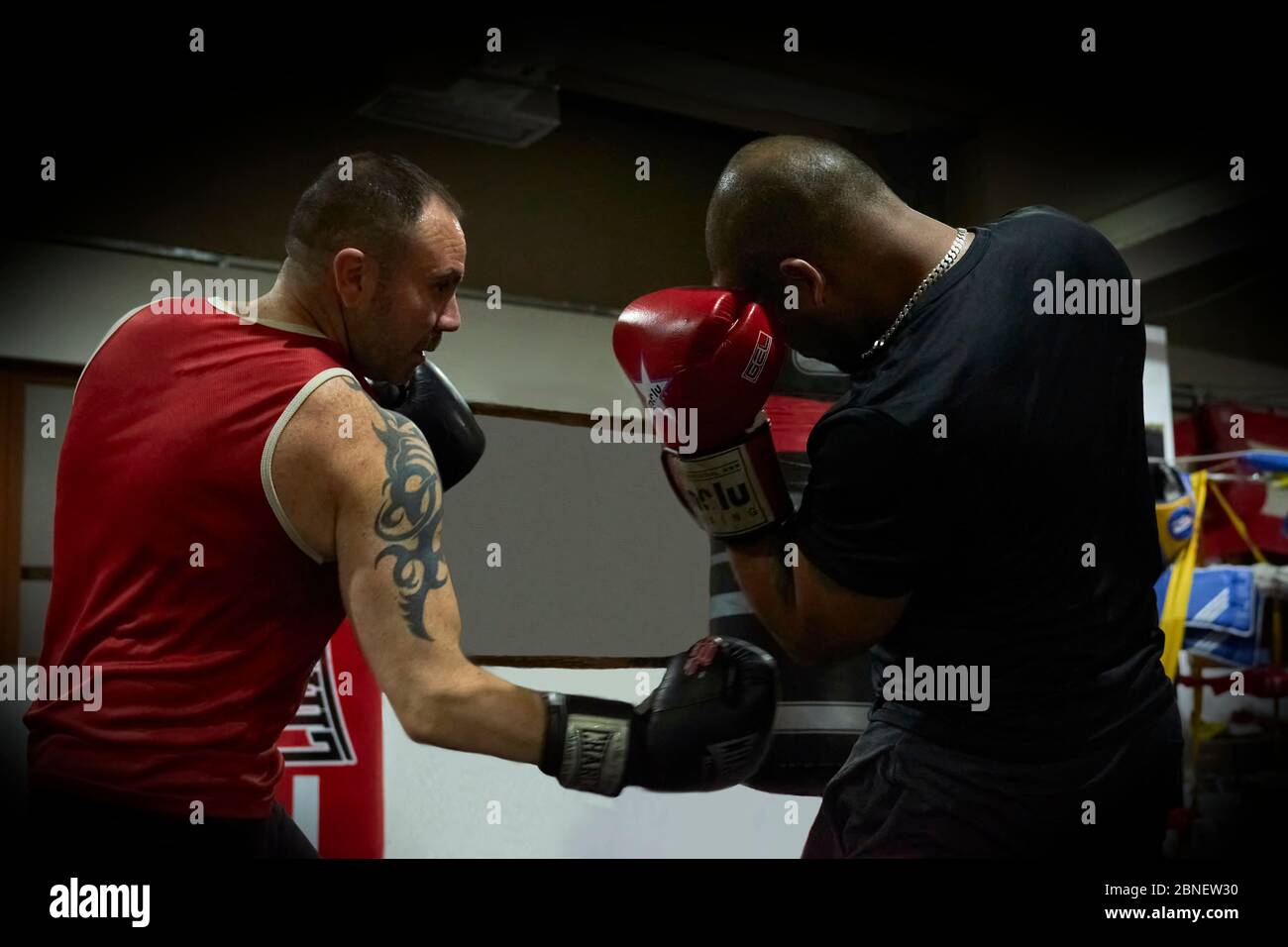 Parla, Madrid, Spain; February 19 2020: Determined male boxers ...