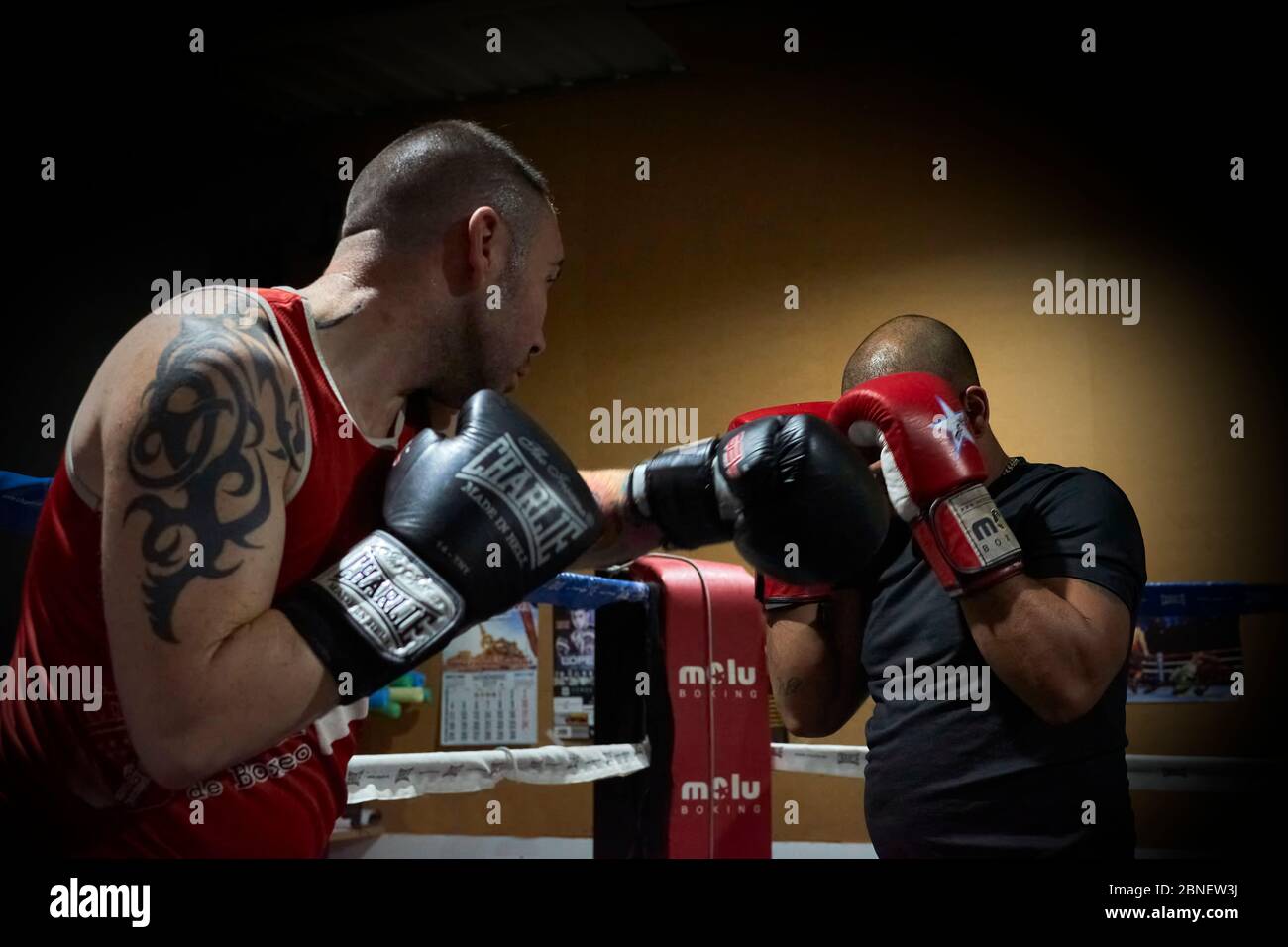 Parla, Madrid, Spain; February 19 2020: Determined male boxers ...
