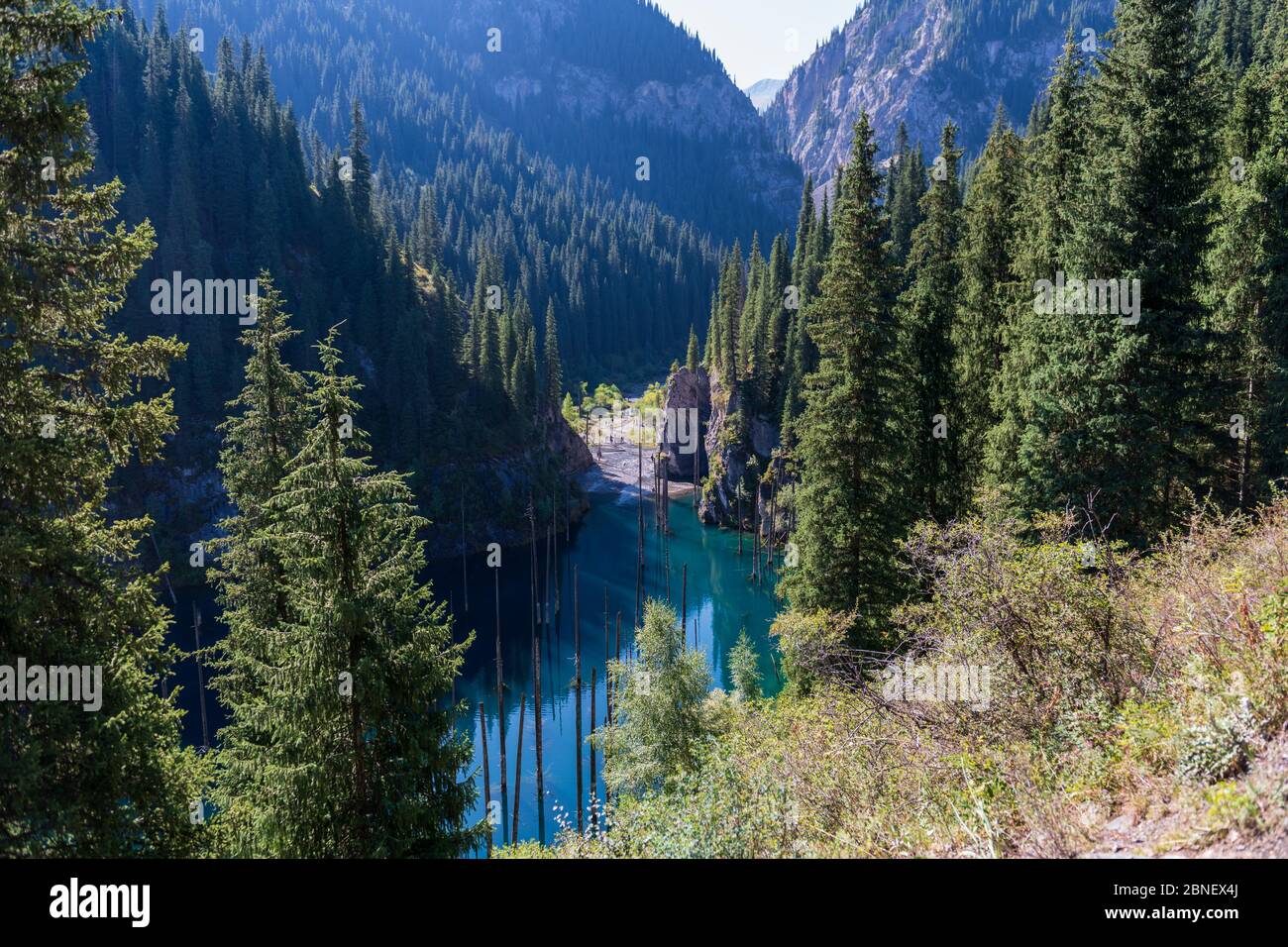 Kaindy lake - mountain lake in Kazakhstan Stock Photo - Alamy