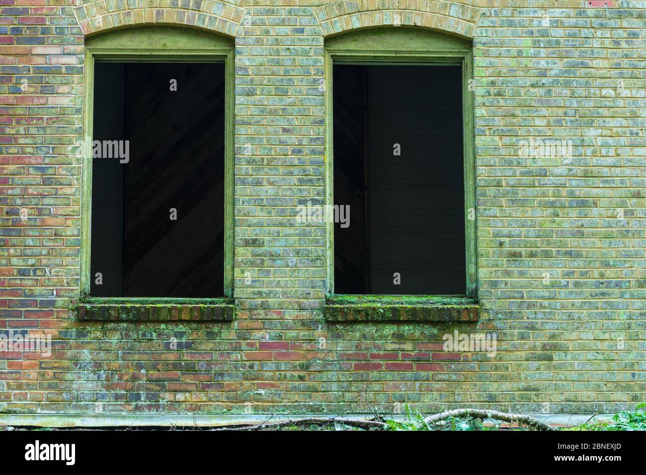 Full frame landscape of green brick wall and two window openings Stock ...