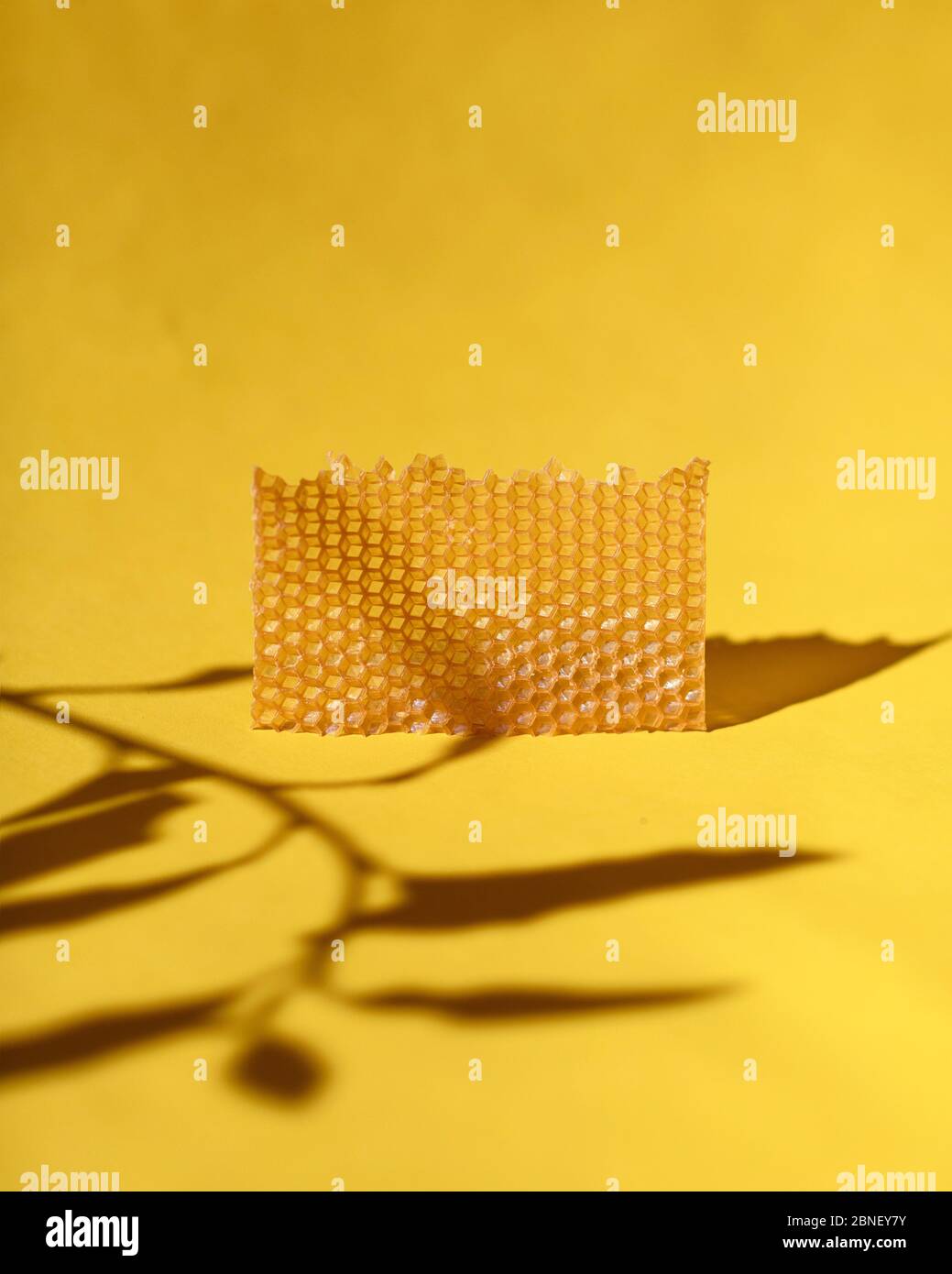 Plaster of beeswax with drops of honey on yellow background minimal ...
