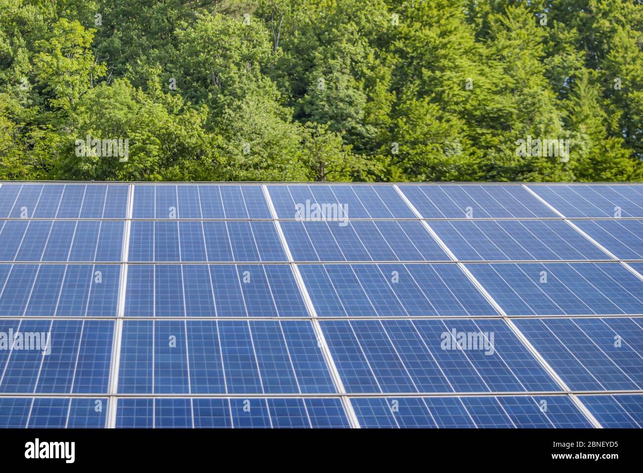 Solar panel surrounded trees hi-res stock photography and images - Alamy