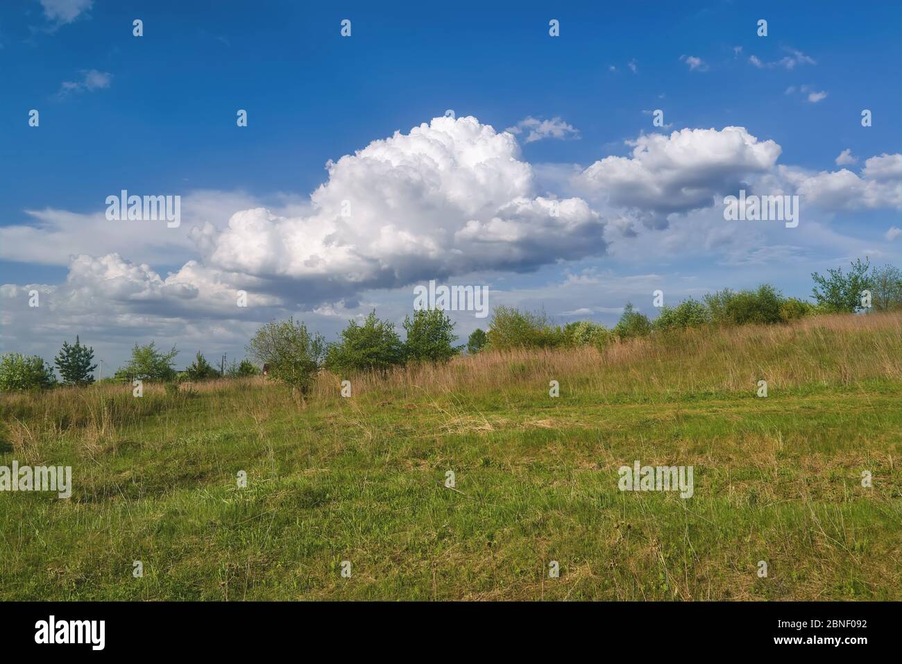 Landscape early spring trees with open leaves against the sky and ...