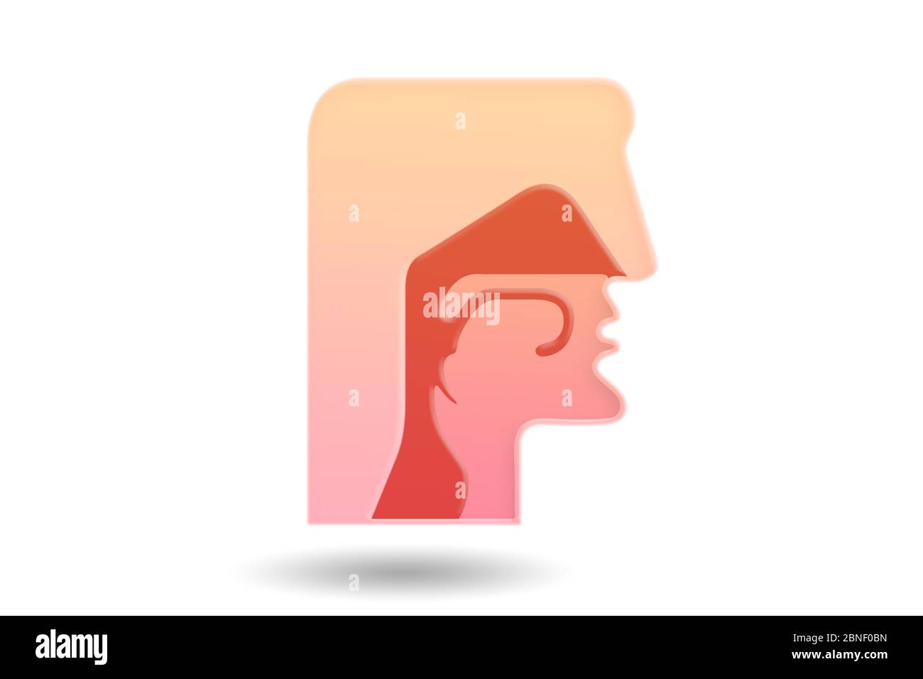 Illustration of the human head with various organs Stock Photo - Alamy