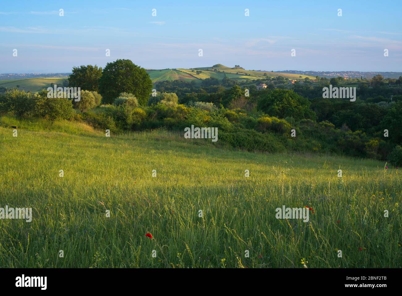 Parco veio hi-res stock photography and images - Alamy