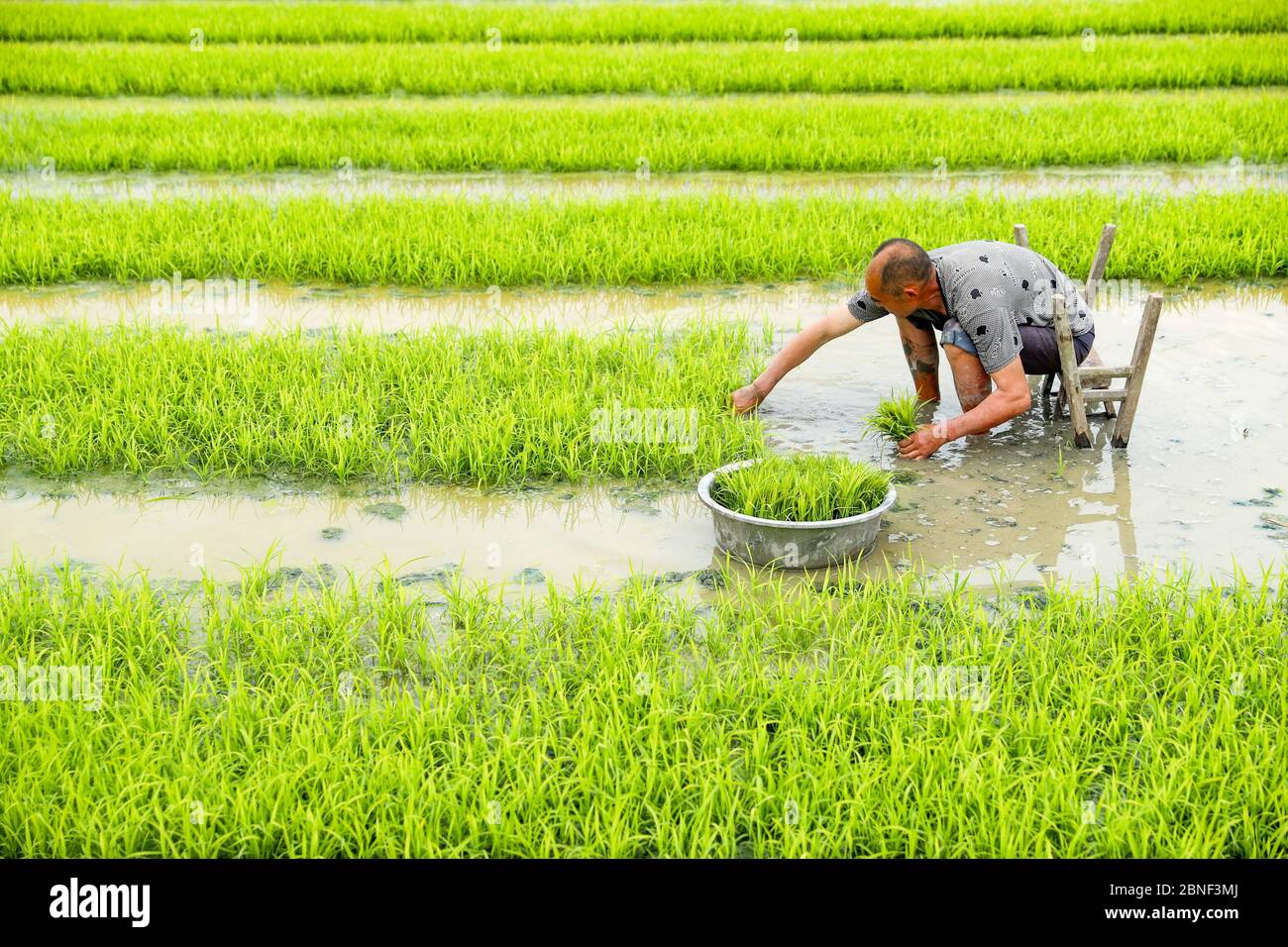 Farmers from Longzitan village are busy with spring ploughing, in order ...