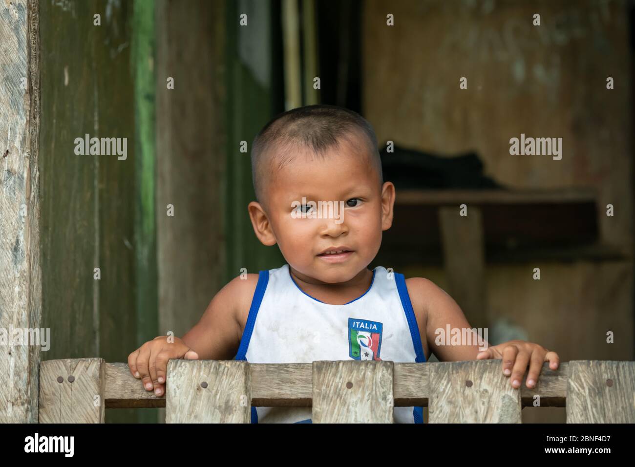 Amazon rainforest interior hi-res stock photography and images - Alamy