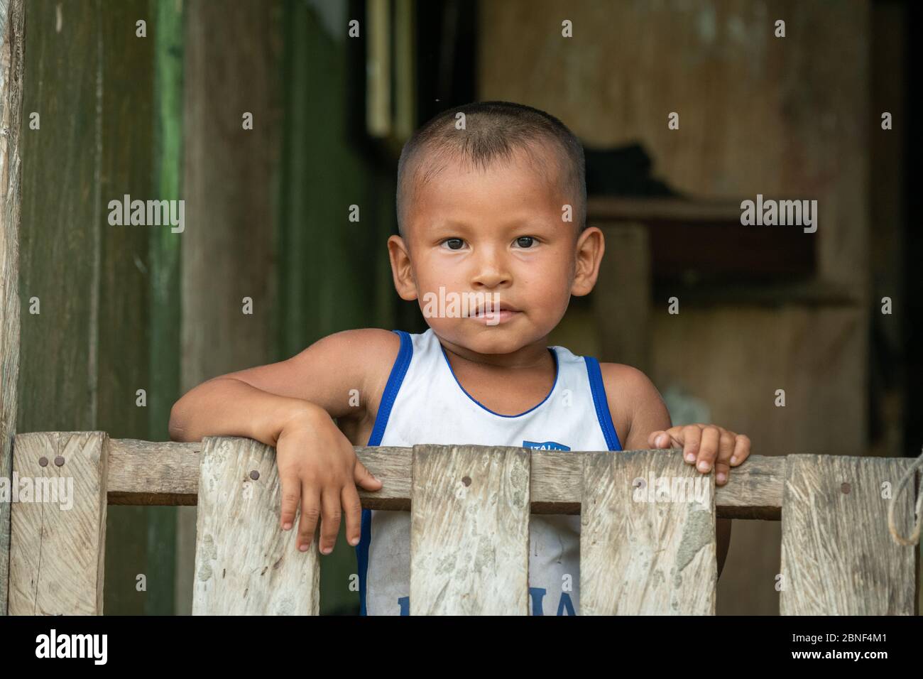 Amazon rainforest interior hi-res stock photography and images - Alamy