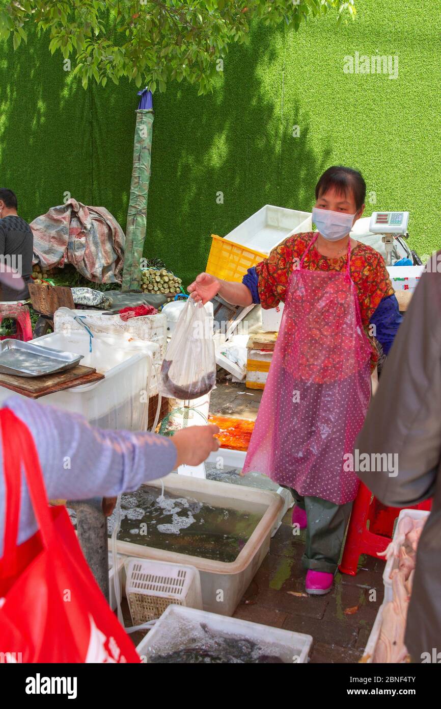 Vendors sell shrimp and fish at a market in Wuhan city, south China's ...