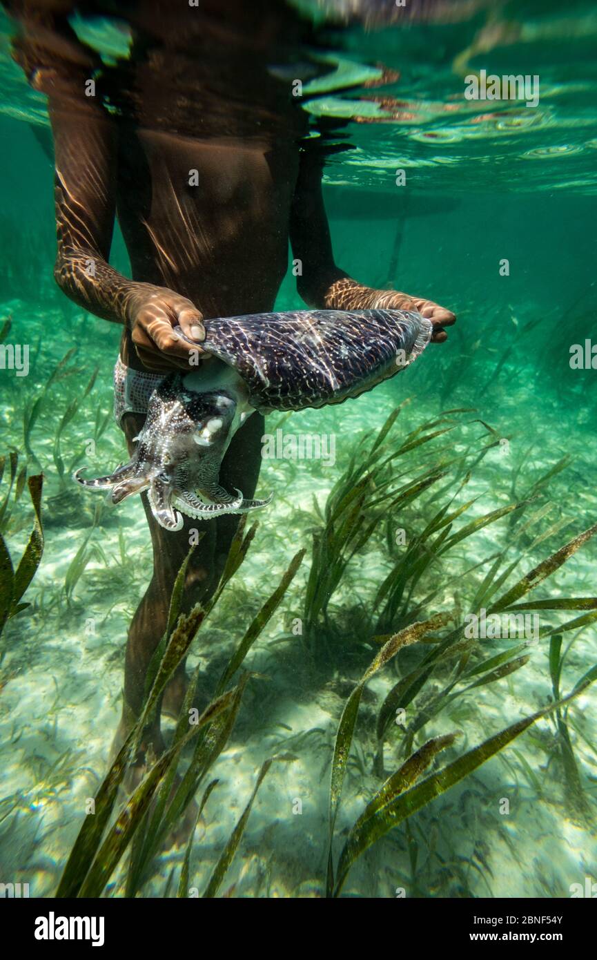 Bajau dive hi-res stock photography and images - Alamy