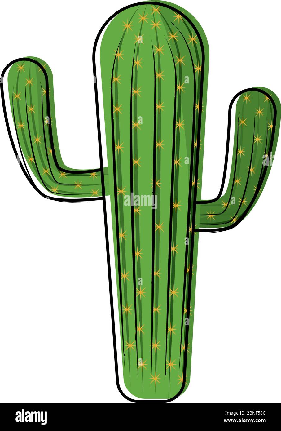 Isolated cactus icon Stock Vector Image & Art - Alamy