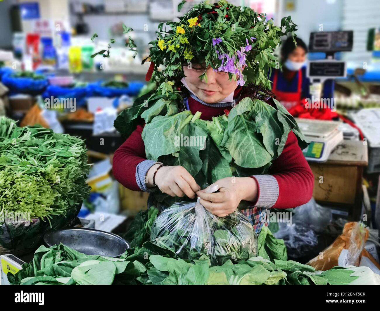 Packing vegetables hi-res stock photography and images - Alamy