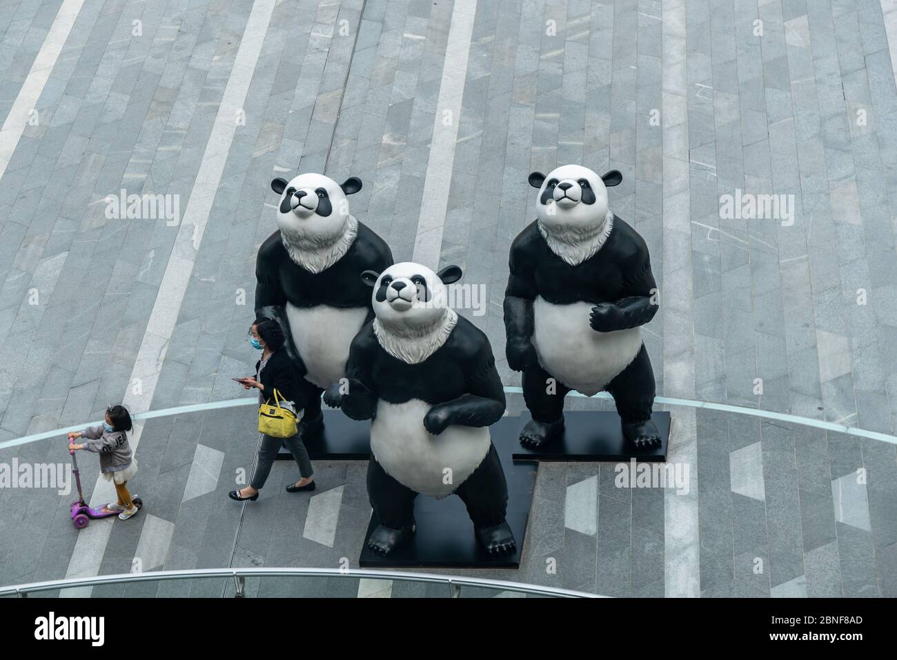 A person walks through the three panda sculptures on a street in ...