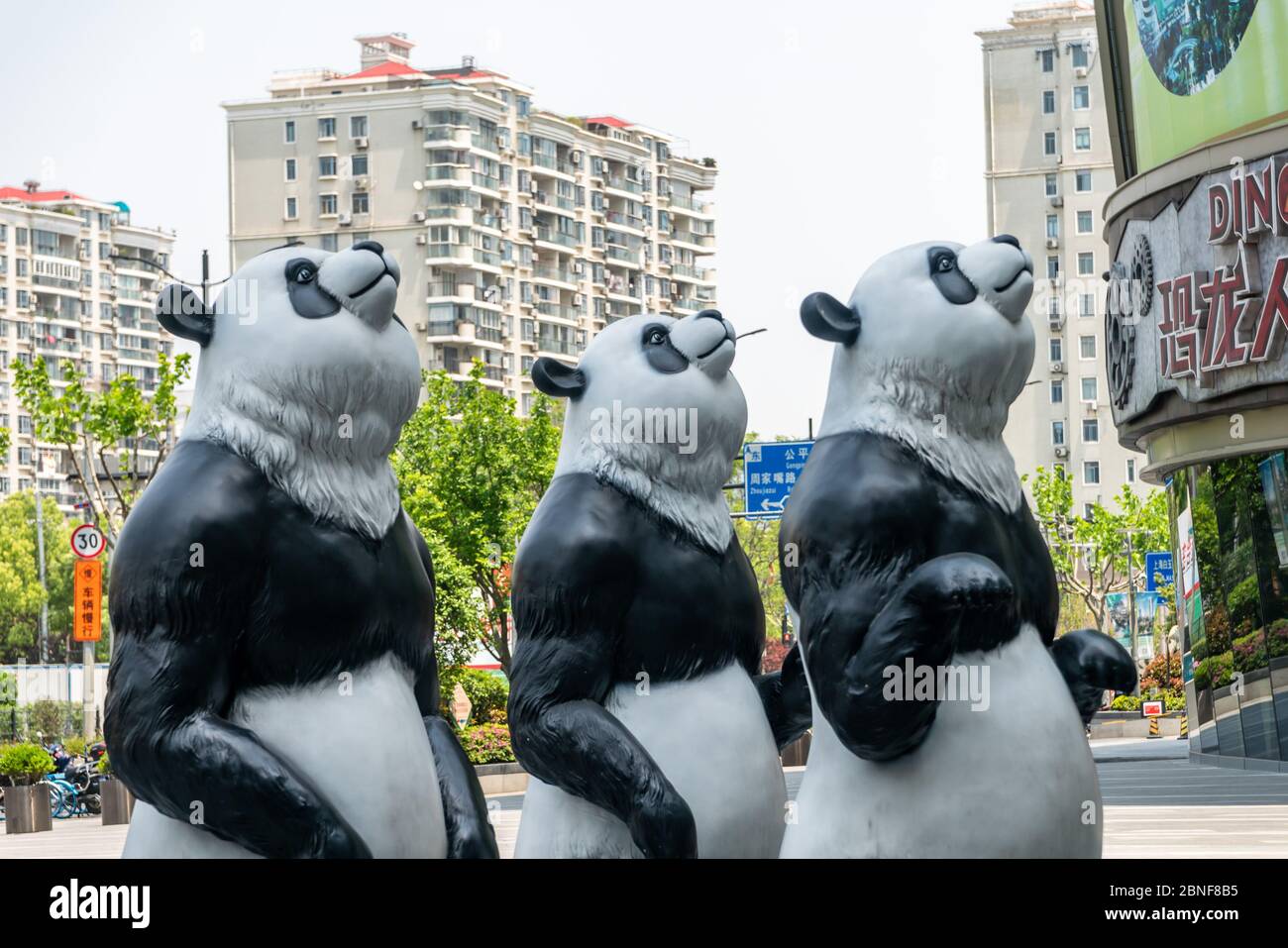 Three panda sculptures are captured on a street in Hongkou district in ...
