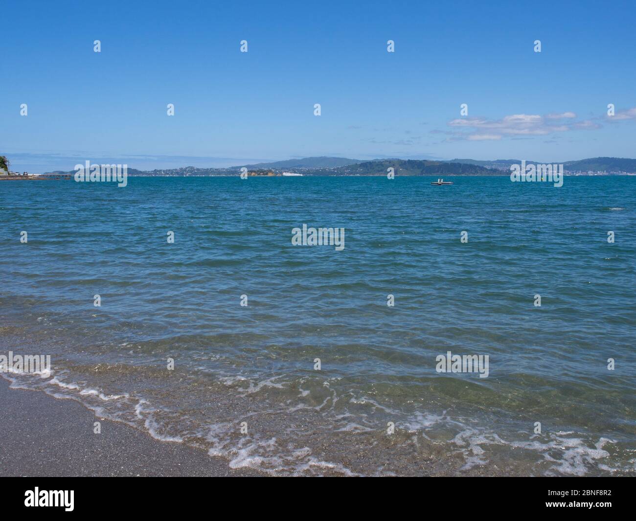Wellington from oriental bay wellington from oriental bay hi-res stock ...